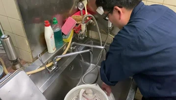 Anago Recipe: 3 Ways to Cook Delicious Japanese Conger Eel