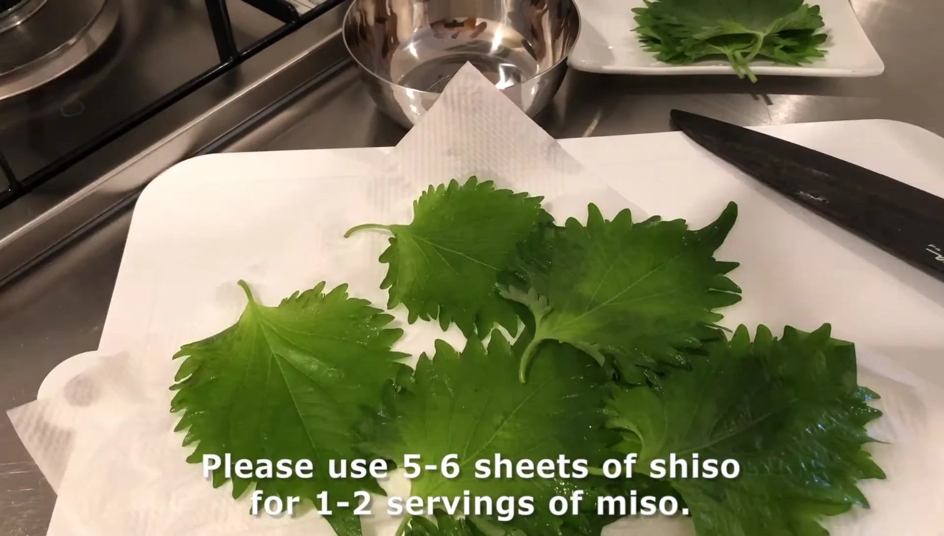 4 Easy Shiso (Japanese Basil) Recipes: Spring Rolls, Pasta, Salad & Miso